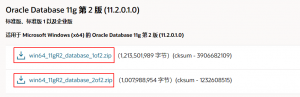 Oracle Database 11gR2 安裝教學 (適用 Windows) - 理財工程師 Mars